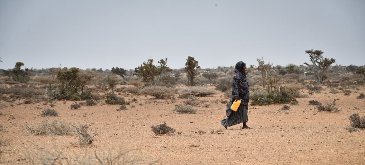 En Somalie, le spectre de la famine plane toujours (OCHA) | ONU Info